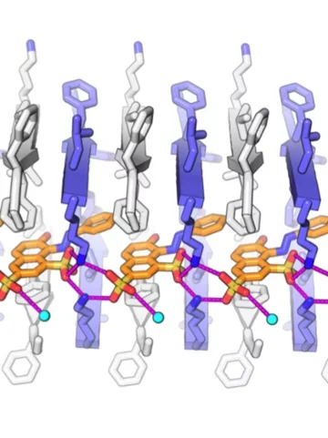 Structural Biology | Biological Chemistry Department